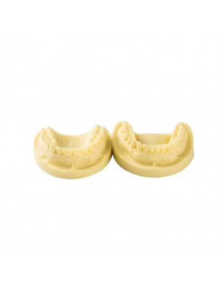 US$30.99-modelo dientes separados modelos dentales digitales ...