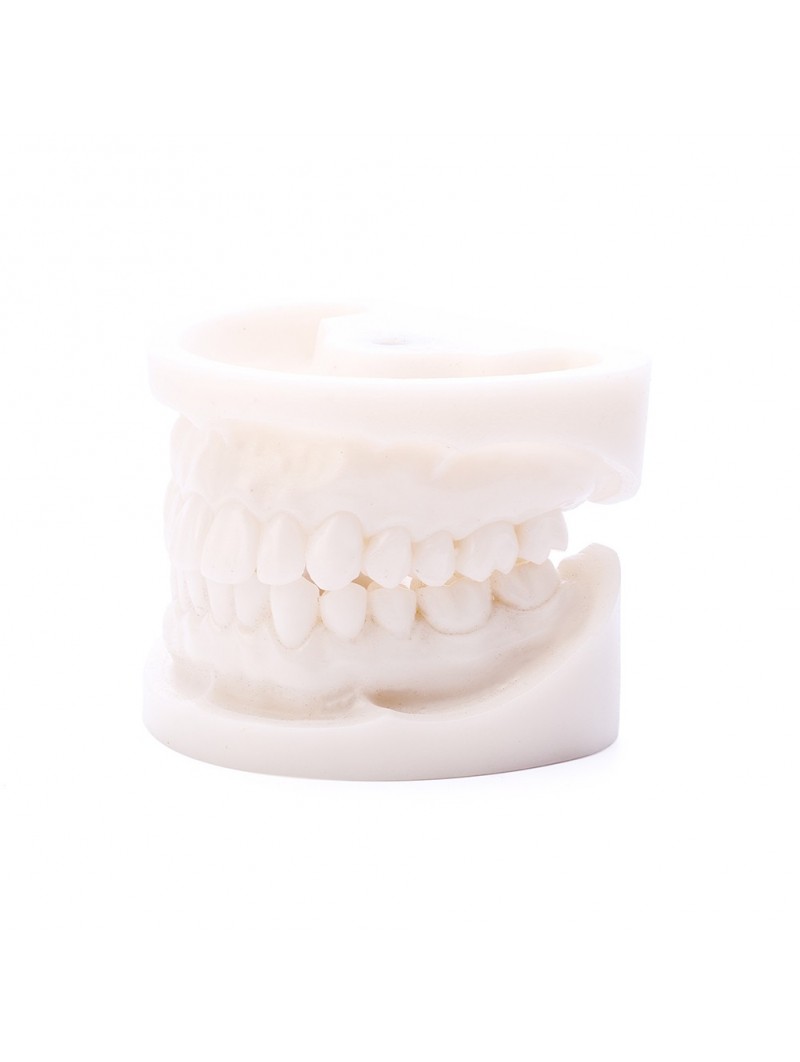 Teeth Model Of EASYINSMILE Dental White Corundum Simulation Analysis ...
