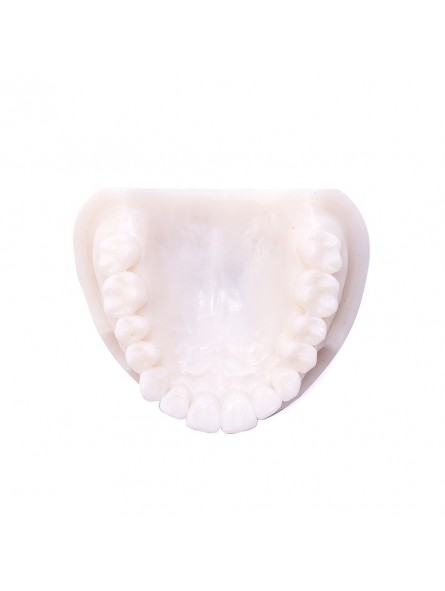 Teeth Model Of EASYINSMILE Dental White Corundum Simulation Analysis ...