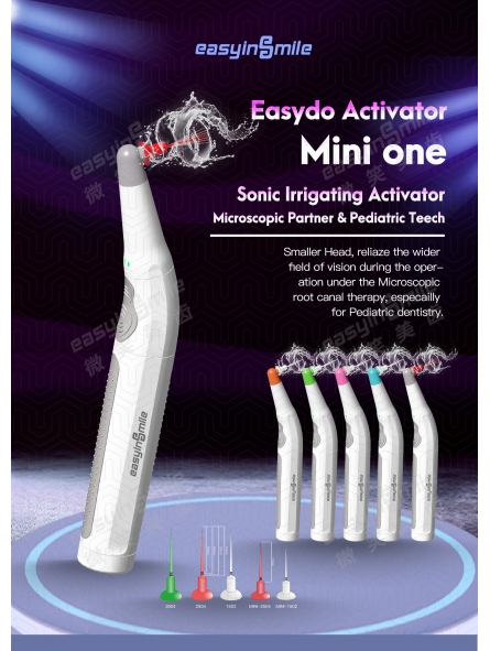 Easyinsmile Endodontic EASYDO Endo Activator Oral Mini Sonic Irrigator ...