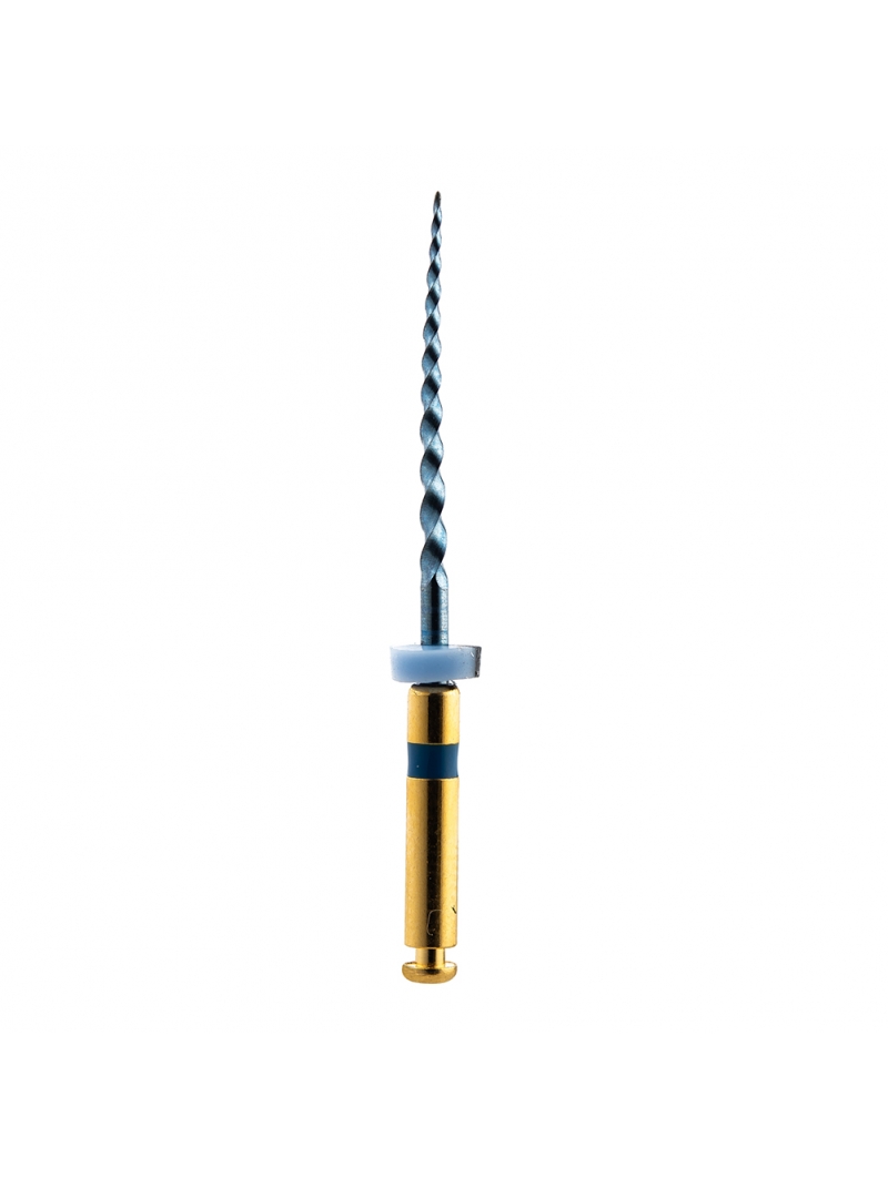Easyinsmile 400Packs Endodontic Dental Endo Files X-Pro Gold Taper ...