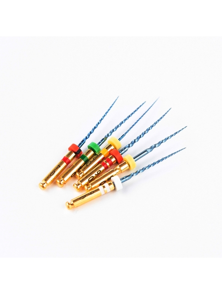 Easyinsmile 6Pcs Dental Endodontic Rotary Files X3-Blue NITI Endo 25MM ...