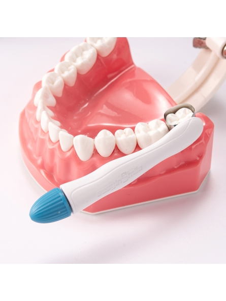 Easyinsmile 100Packs Dental Endodontic Pro Matrix Bands Curved&Standard ...