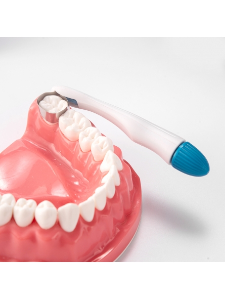 Easyinsmile 100Packs Dental Endodontic Pro Matrix Bands Curved&Standard ...