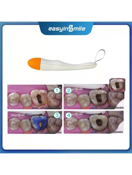 Dental Matrix