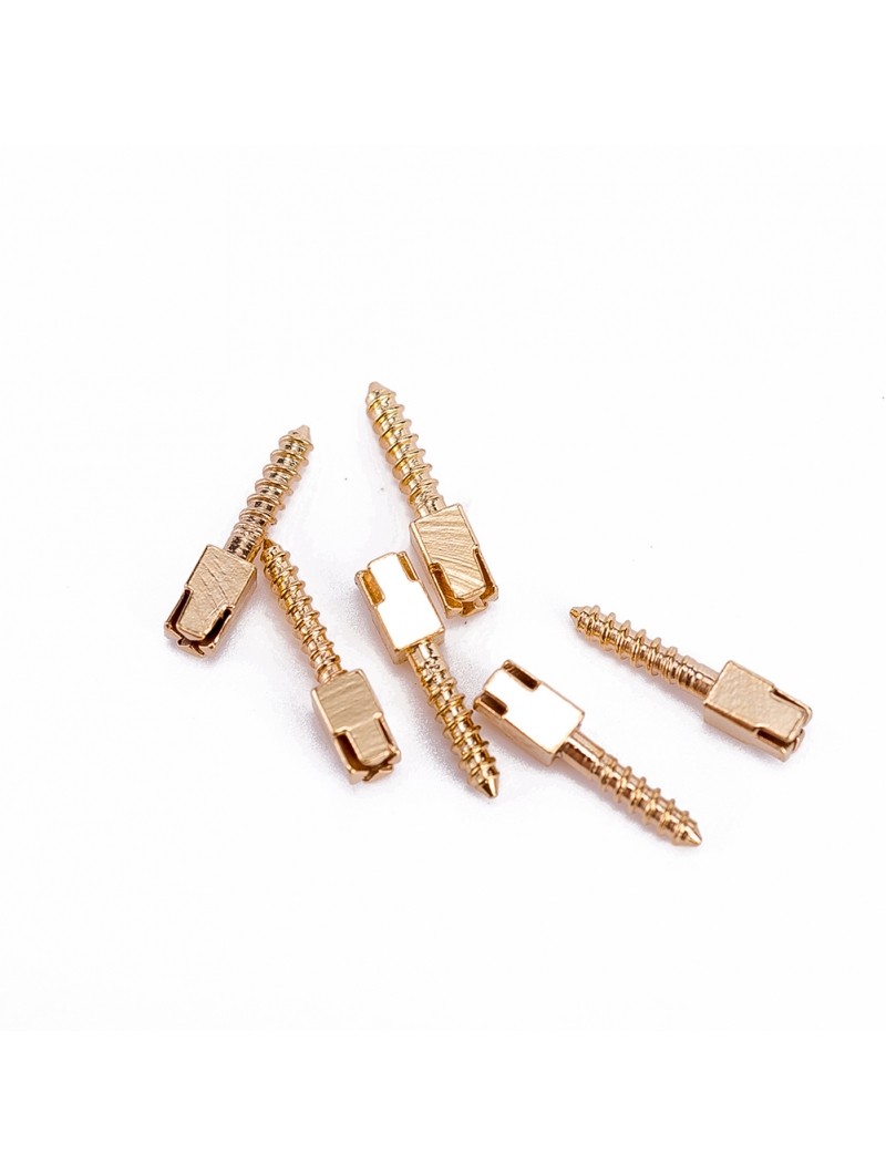 Easyinsmile 120pcs Dental Endo Endodonica Screw Post Conical Pins Root ...