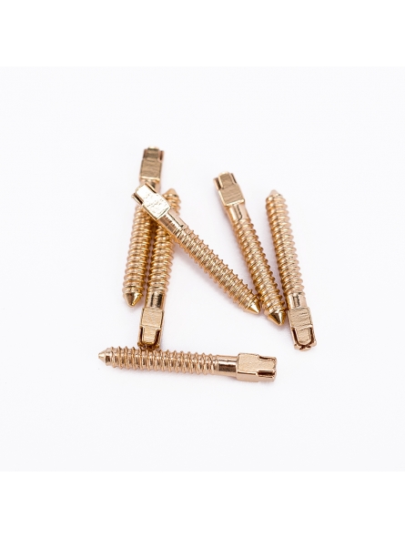 Easyinsmile 120pcs Dental Endo Endodonica Screw Post Conical Pins Root ...