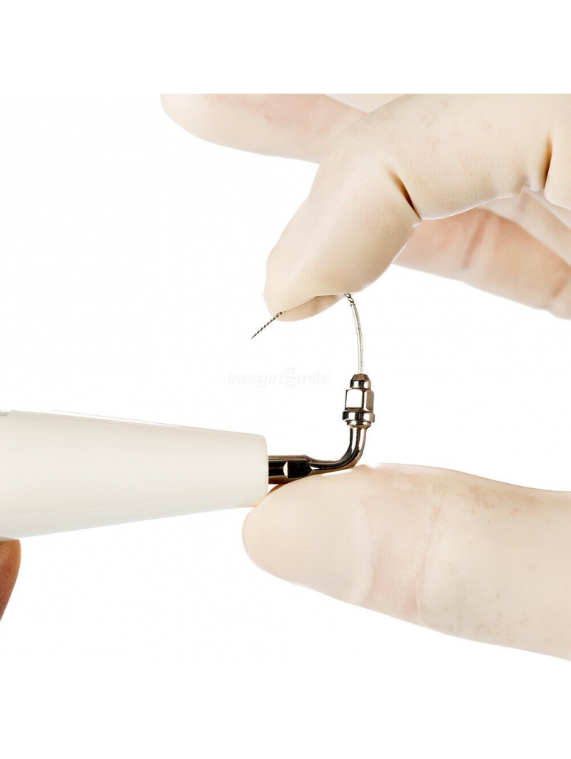 Dental Endodontic Ultrasonic Scaler Tip Files Endo Root Canal Cleaning ...