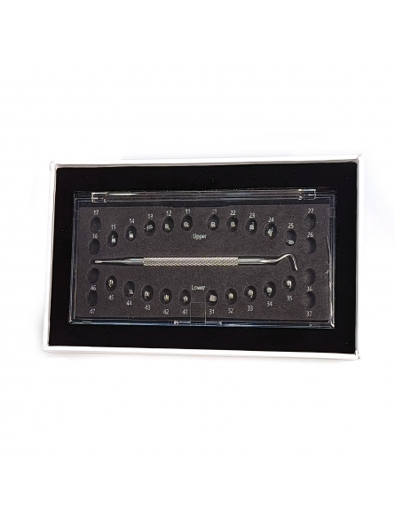 Easyinsmile Dental Orthodontic Metal Bracket Ortho Spherical Self ...