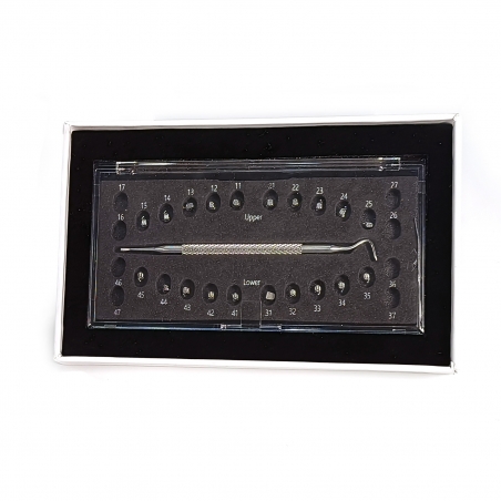 Easyinsmile Dental Orthodontic Metal Bracket Ortho Spherical Self ...