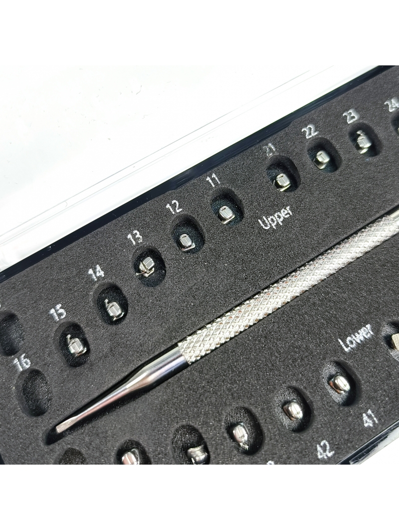 Easyinsmile Dental Orthodontic Metal Bracket Ortho Spherical Self ...