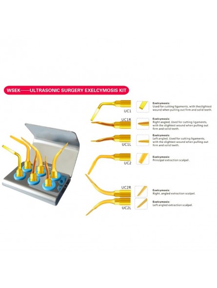 US$190 - INSERTI PER PIEZOCHIRURGIA WSEK Dental Ultrasonic KIT ...