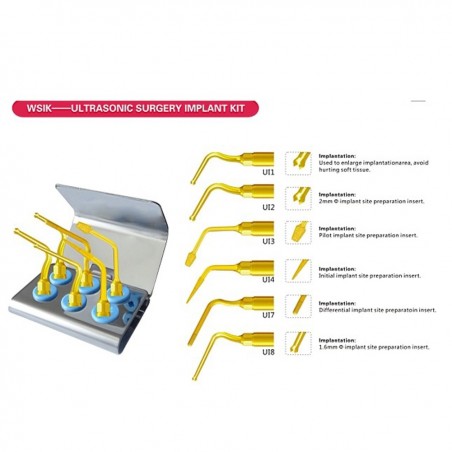 US$190.00 - KIT INSERTI PIEZOCHIRURGIA WSIK Dental Ultrasonic chirurgia ...